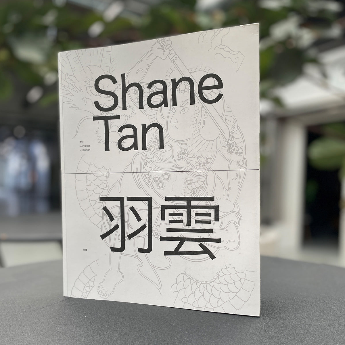 Shane Tan - The Complete Collection | Kintaro Publishing
