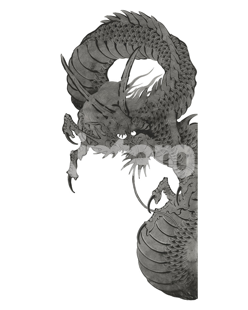 Grey Dragon 3 – Kintaro Publishing