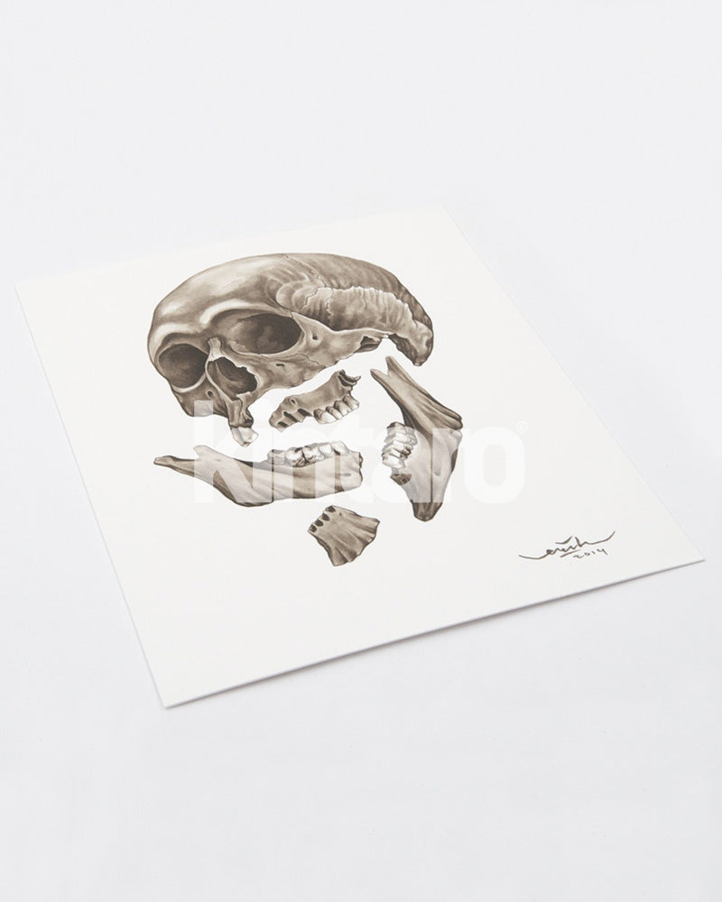 Skull – Kintaro Publishing