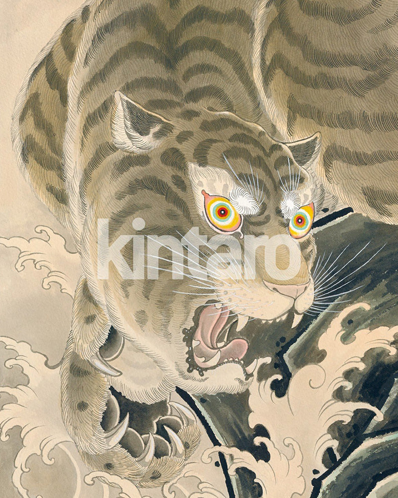 Tora – Kintaro Publishing